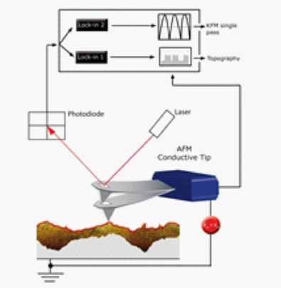 Advanced Electrical and Mechanical Atomic Force Microscopy ...